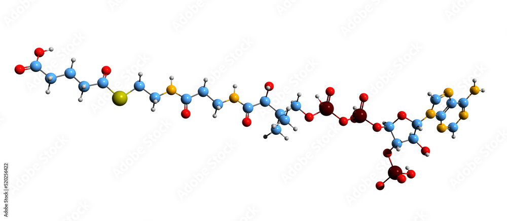 3D image of Glutaryl-CoA skeletal formula - molecular chemical ...