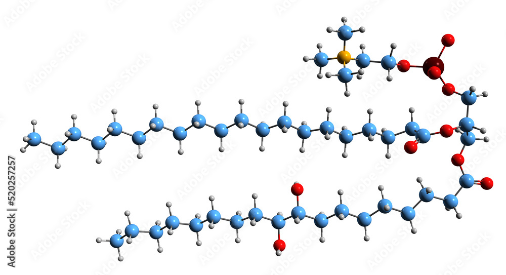 3D image of Hydroxylated lecithin skeletal formula - molecular chemical ...