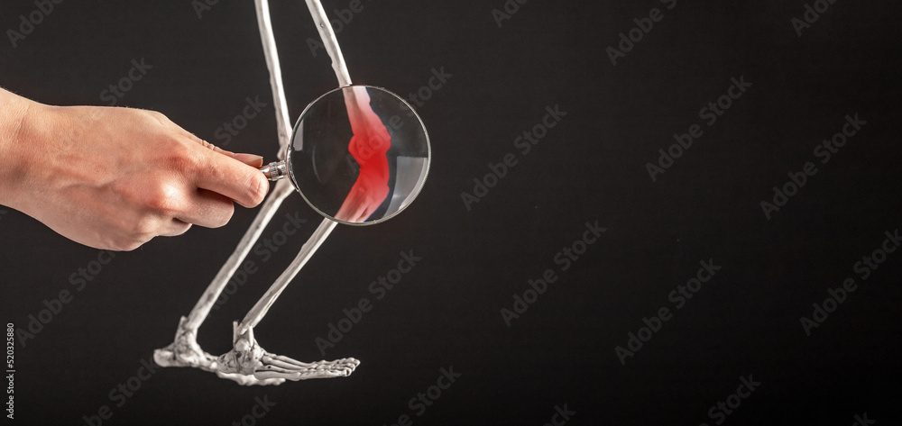Banner with hand with magnifying glass over patella of human skeleton ...