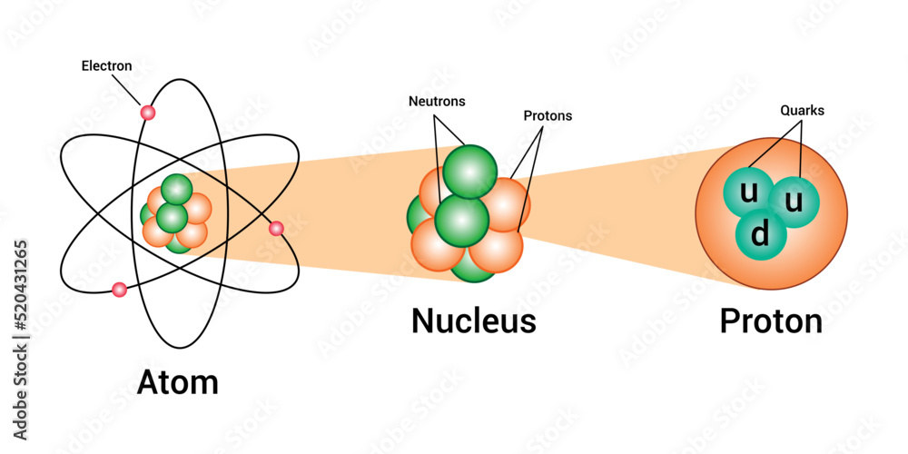 Parts of atom model diagram Stock Vector | Adobe Stock