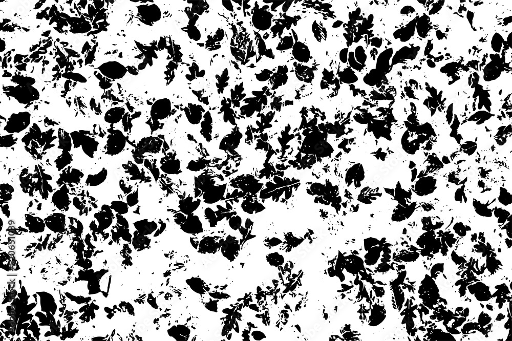 Black distressed pattern from natural leaves on the ground. Isolated ...
