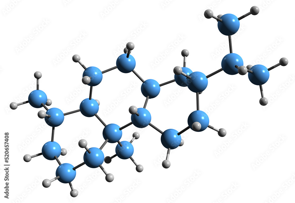 3d Image Of Norabietane Skeletal Formula Molecular Chemical Structure Of Diterpene
