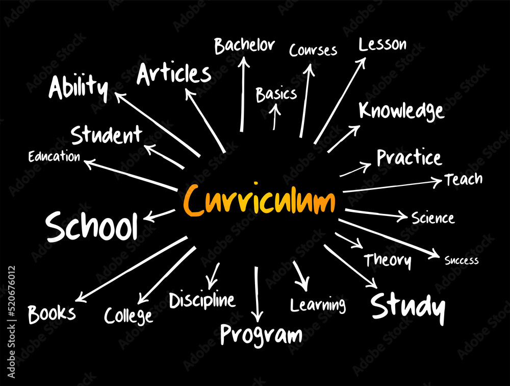 Curriculum mind map flowchart, education concept for presentations and reports Stock ...