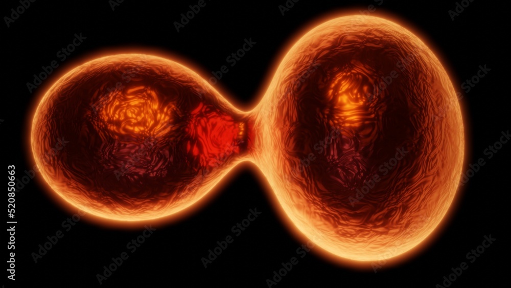 Ilustración de Stock Cells fusing together. Two transparent spheres ...
