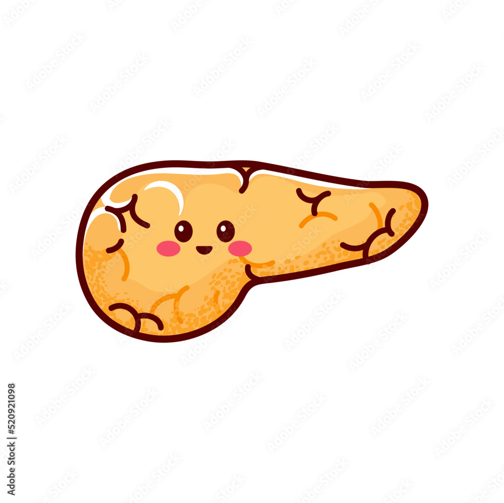 Vector de Stock Large gland in stomach yellow pancreases, human ...