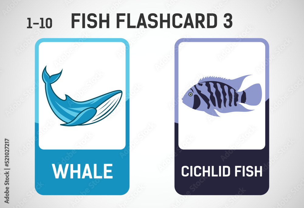 Fish flashcards for kids. Educational cards for preschool. Printable ...