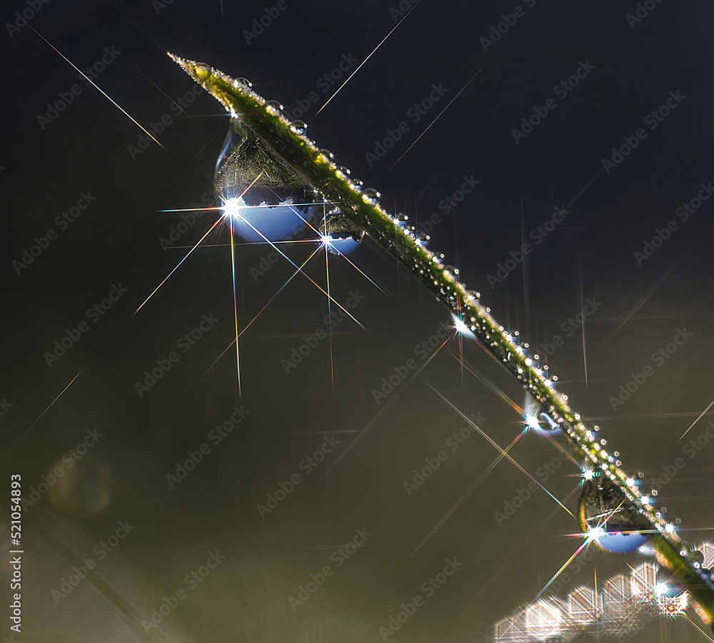 Foto de Stock Dew drops with sunlight spectra. There is a wide range of physical phenomena ...