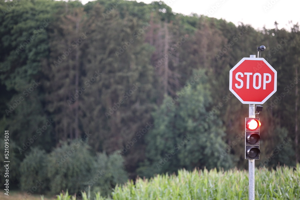 Traffic light red with stop sign on the pole in front of the forest ...
