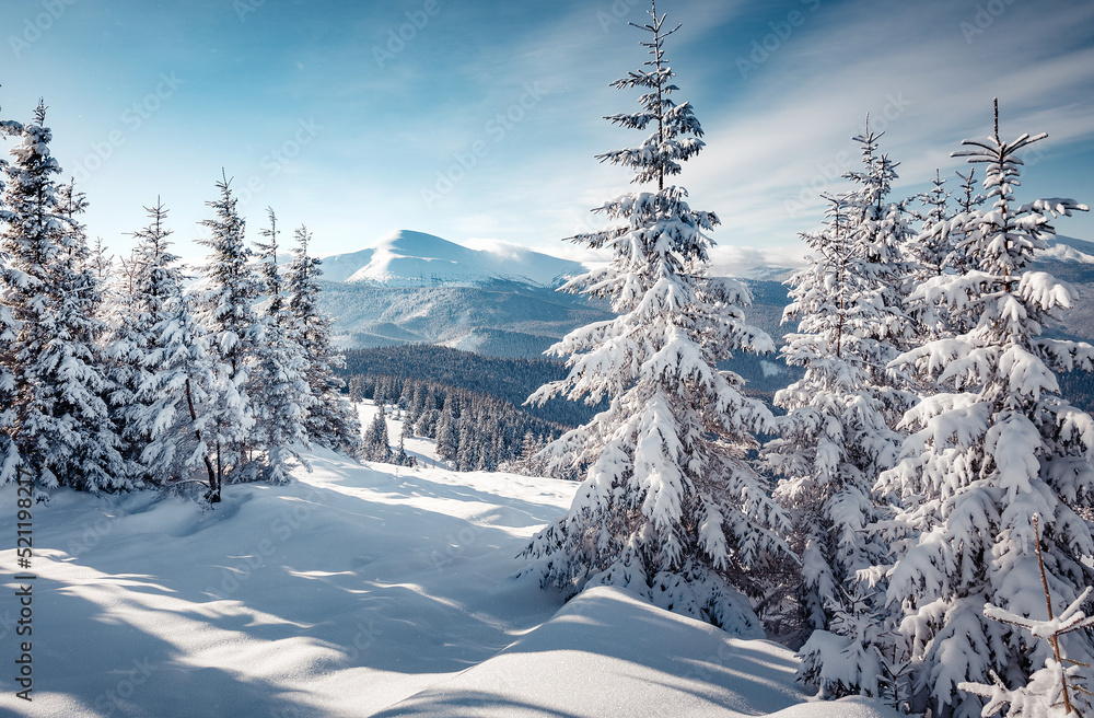 Awesome Pictures Of Winter