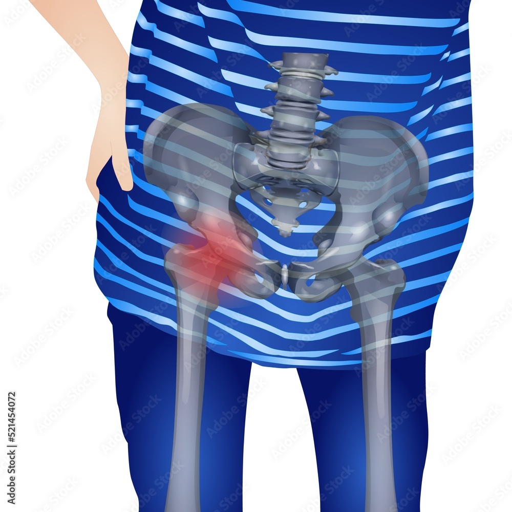 Illustration Stock Human urinary system consists of the kidneys, renal ...