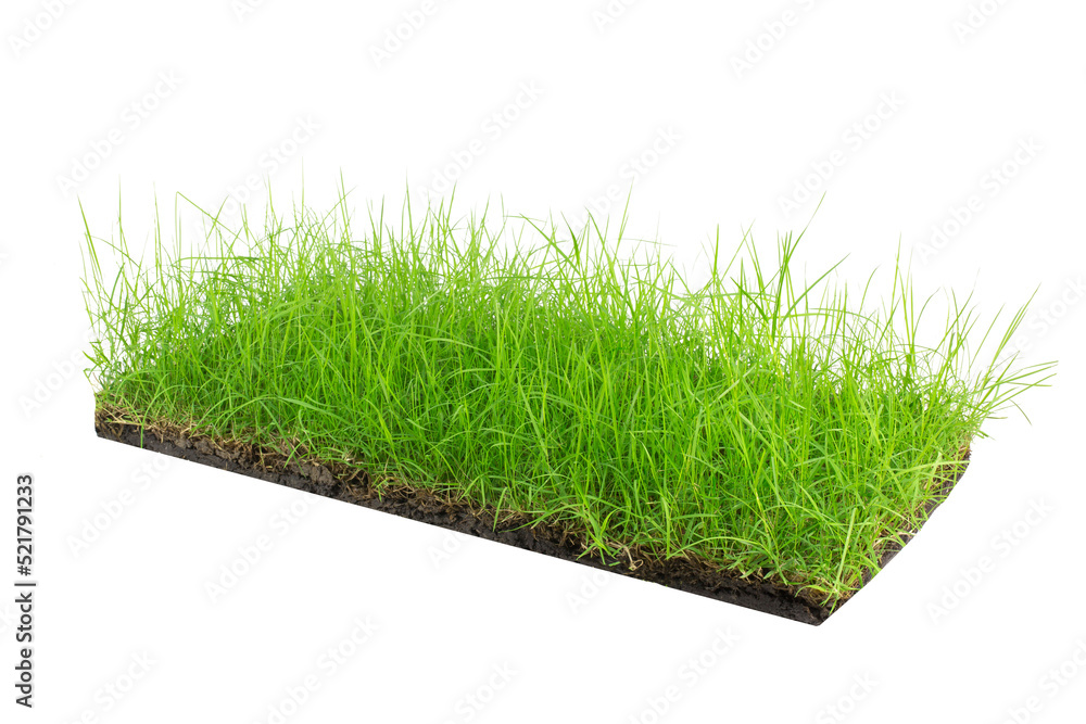 round soil ground cross section with earth land and green grass ...