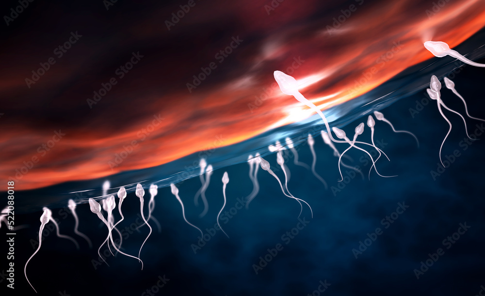 Many sperm cells, slightly transparent, scientifically correct moving ...