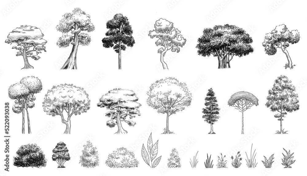 Plant tree forest icon set outline, hand drawn vector. Garden drawing ...