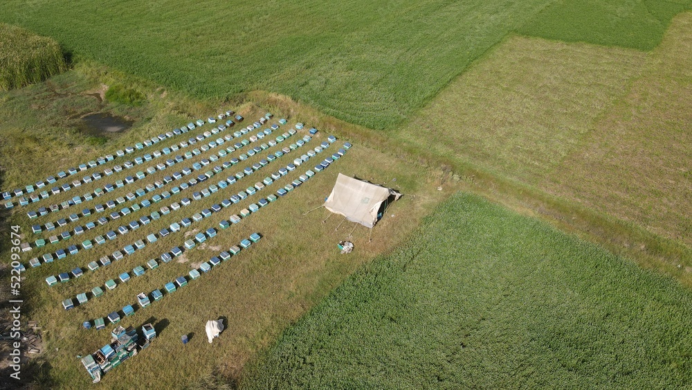 A top-down aerial image of a honey bee farm located in the agricultural ...