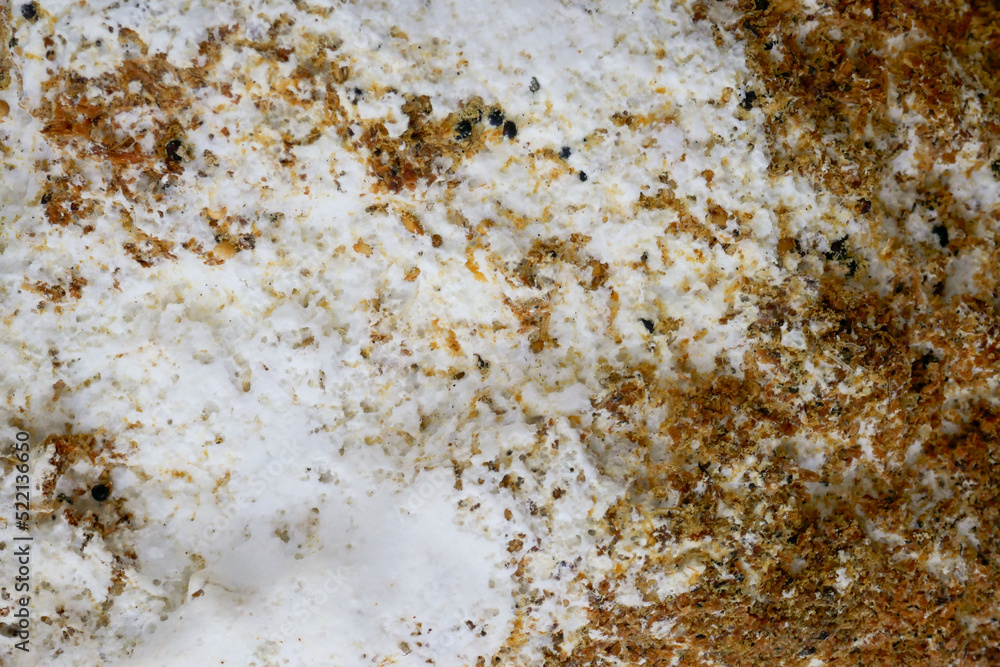 Mold texture. Gray and brown mold close-up. fungal diseases.Mold fungus ...