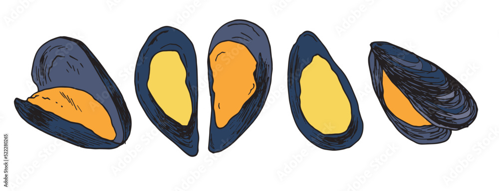 mussels are yellow with a gray shell. hand-drawn set of seafood mussels ...