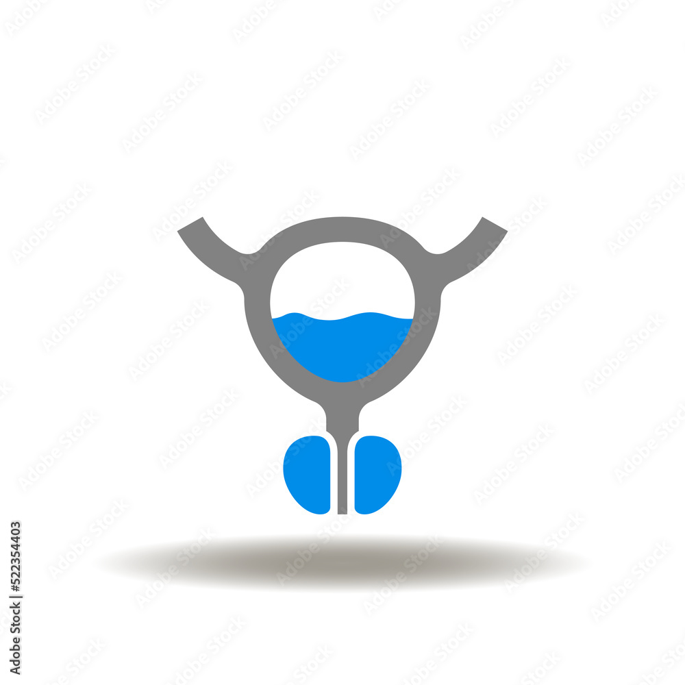 Vector illustration of male genitourinary system with ovary and ...