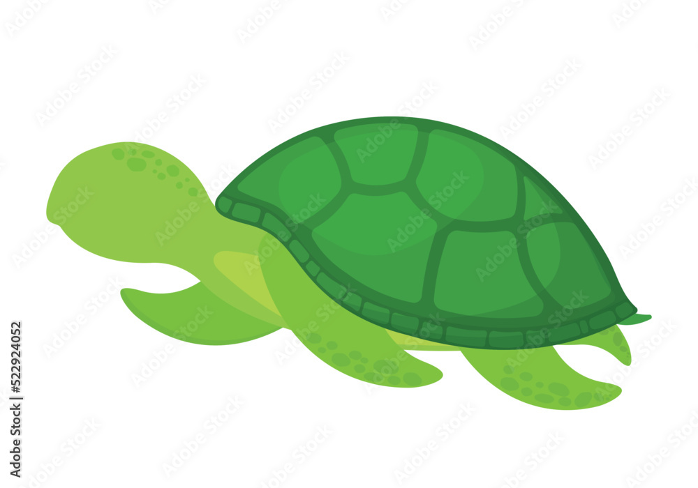 Hand Drawn Faceless Turtle Icon Clipart Cartoon Vector for Sea Animal ...