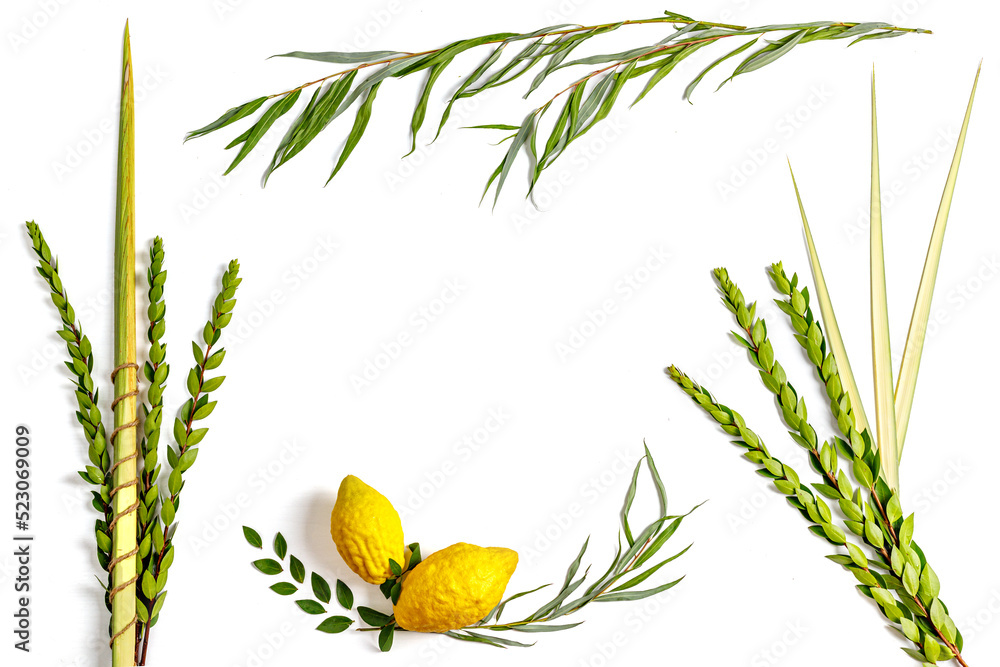 Jewish holiday of Sukkot. Traditional symbols (The four species): Etrog ...