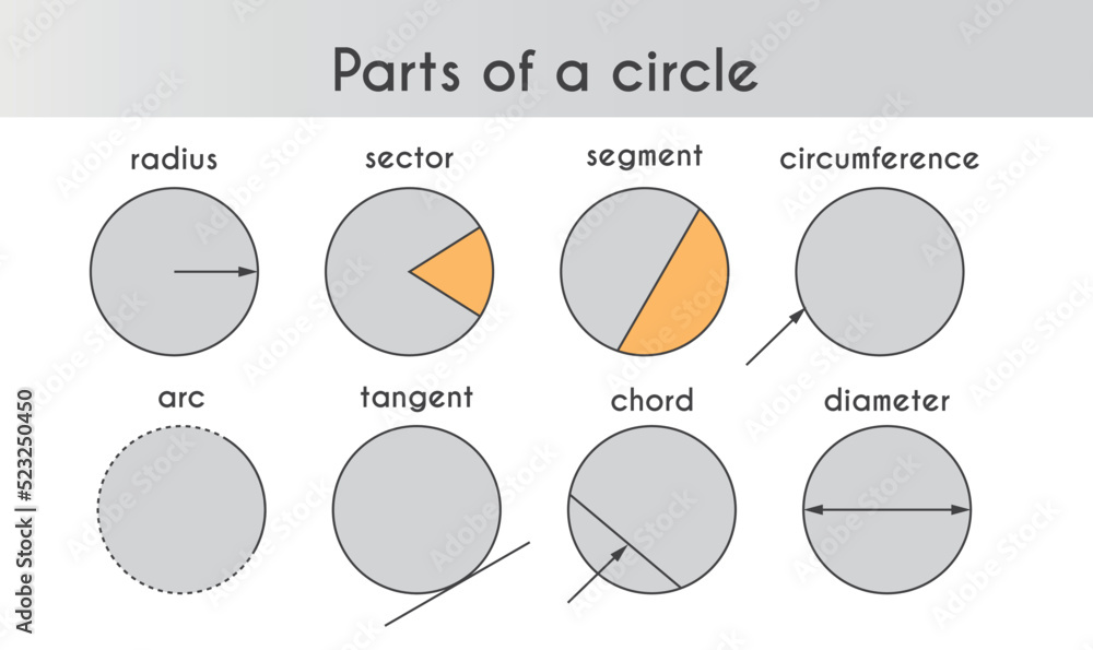 A set of circles. Parts of a circle. Diameter, radius, sector, segment ...