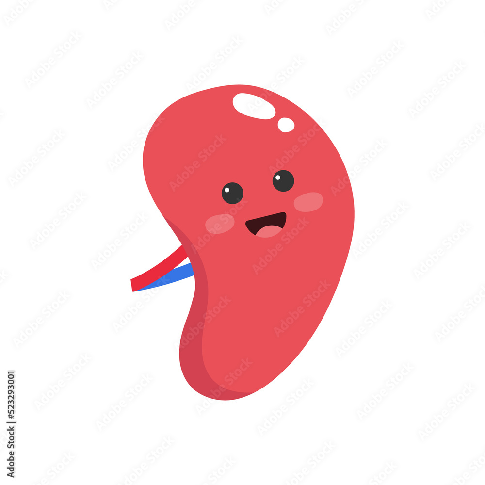 Cute cartoon spleen. Spleen illustration. Stock Illustration | Adobe Stock