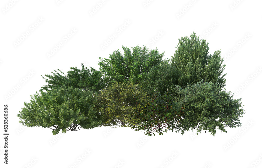 Shrubs and flower on a transparent background Stock Illustration ...