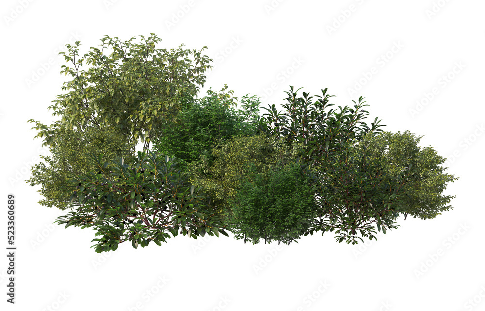 Shrubs and flower on a transparent background Stock Illustration ...