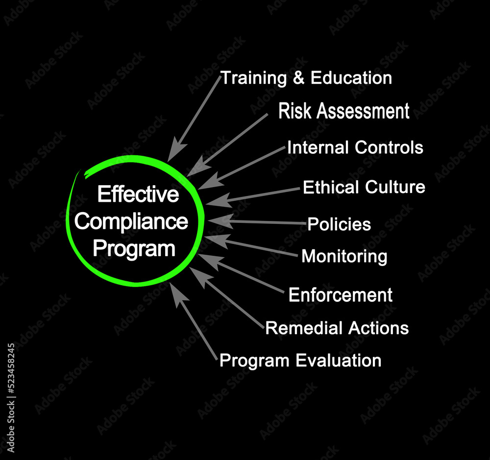 Components of Effective Compliance Program Stock Illustration | Adobe Stock
