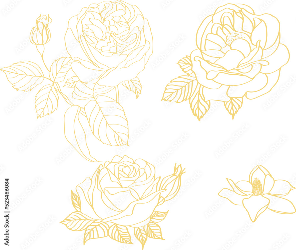 Luxury rose golden art deco floral illustration. Natural background ...