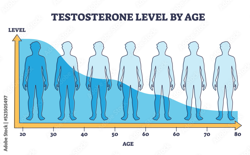 Testosterone level by age as hormone production reduction outline ...