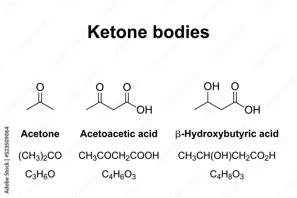 Vector de Stock Ketone bodies, chemical formulas. Water-soluble ...