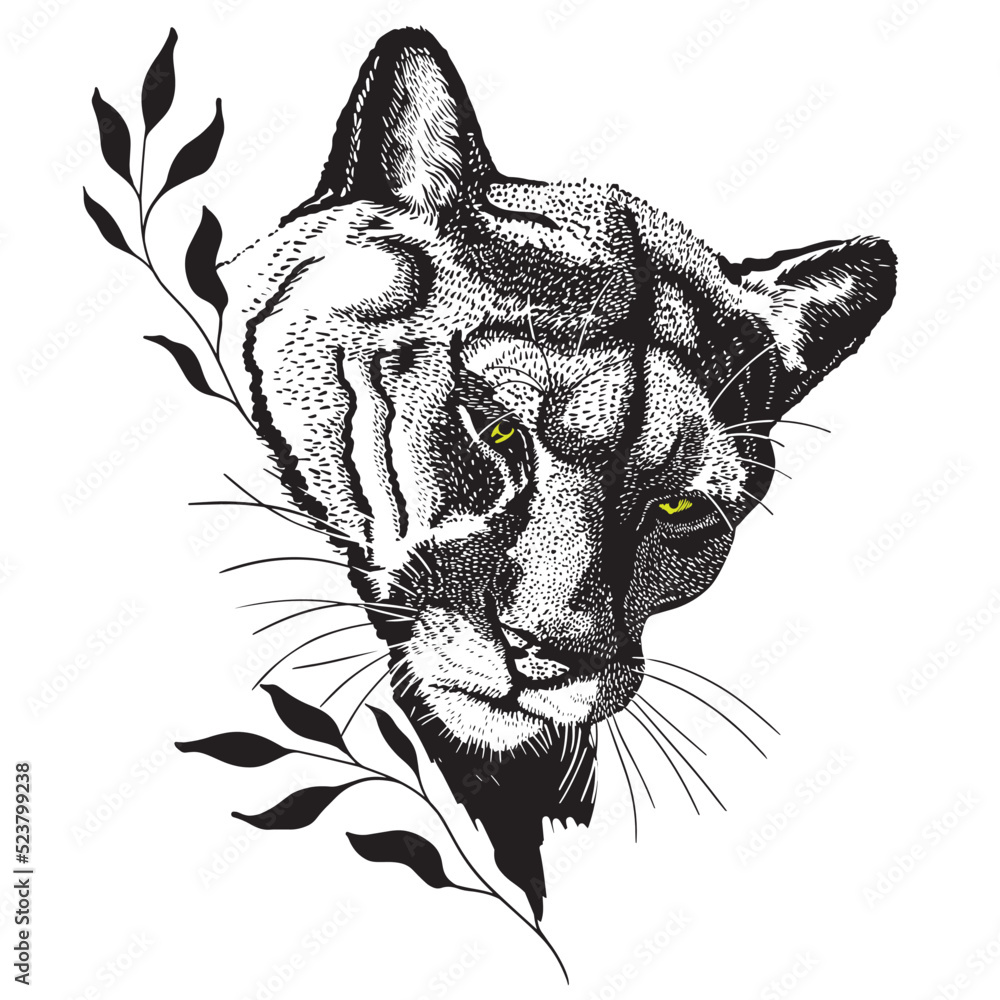 Puma head, pencil drawing, tattoos Stock Vector | Adobe Stock