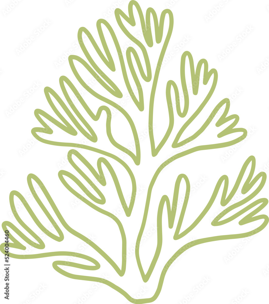 seaweed line art drawing Stock Vector | Adobe Stock
