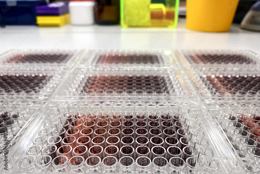 An array of multiwell plates used in high-throughput screening (HTS) in ...