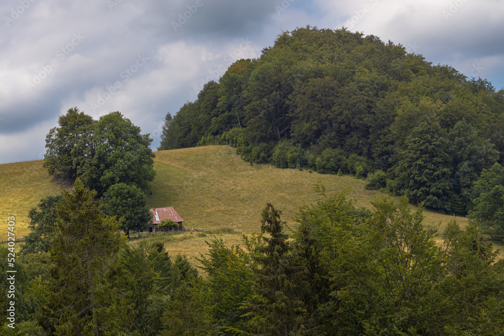Polska, Szczawnica, piękne cudowne góry Pieniny, krajobrazy i widoki na ...