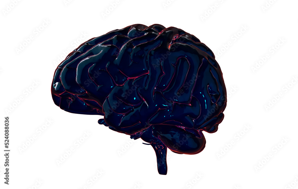 Human brain activity with plexus lines.. External cerebral connections ...