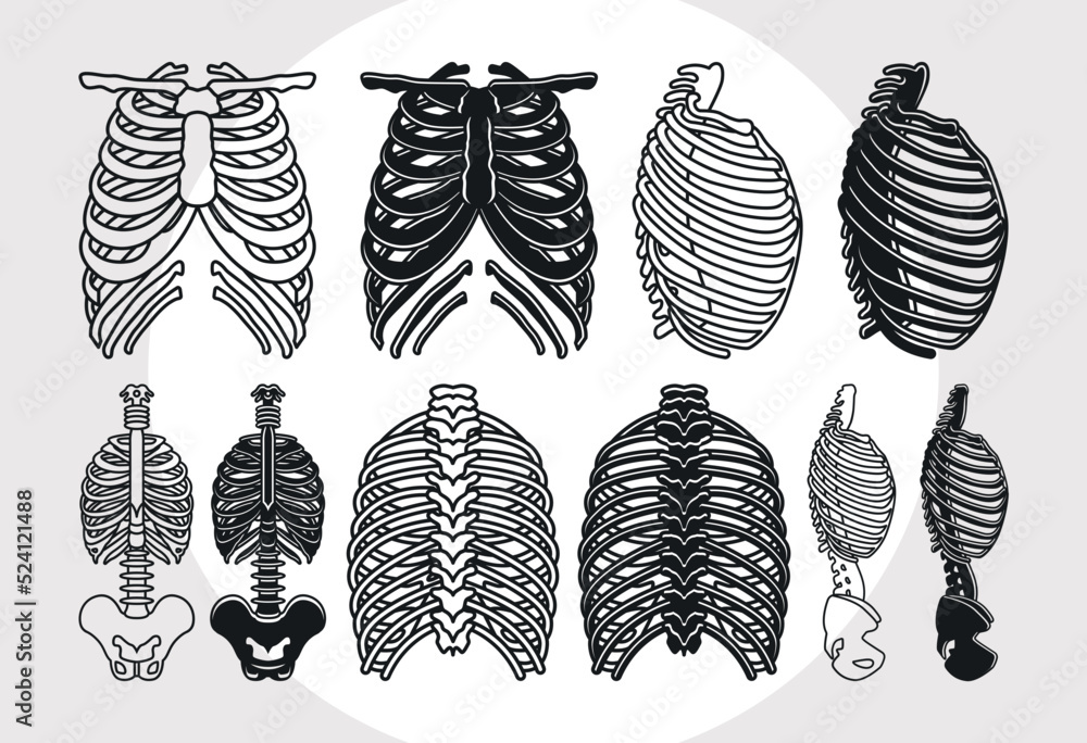 Skeleton Rib Cage SVG Bundle, Human Ribs Svg, Ribcage Svg, Human Bones ...