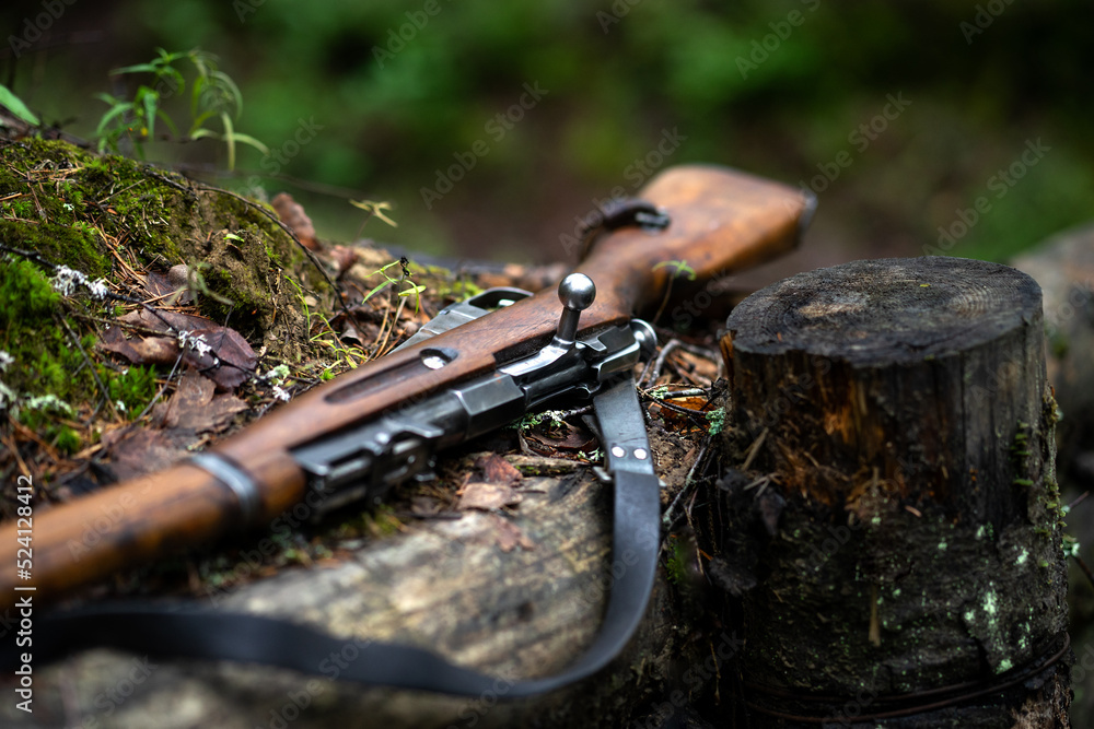 A Finnish rifle from the Second World War lies in the forest on the ...