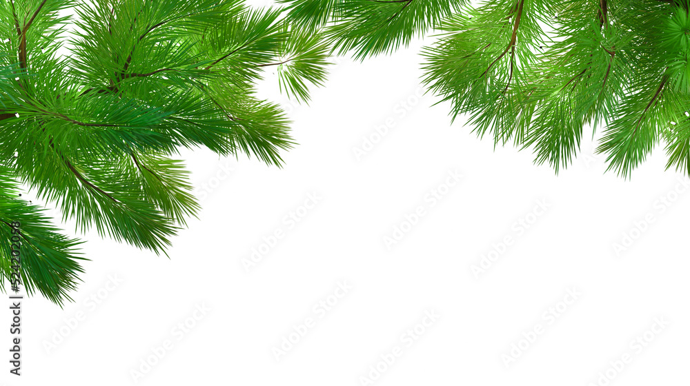 pine tree border png