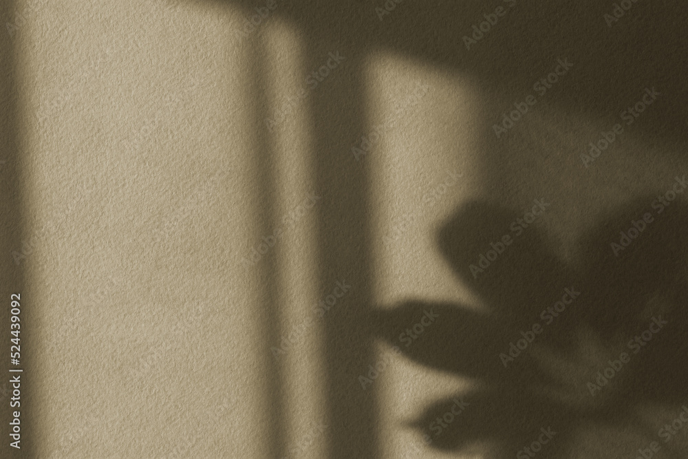 Shadows nature beige gray background. Neutral contrasting flower leaf ...