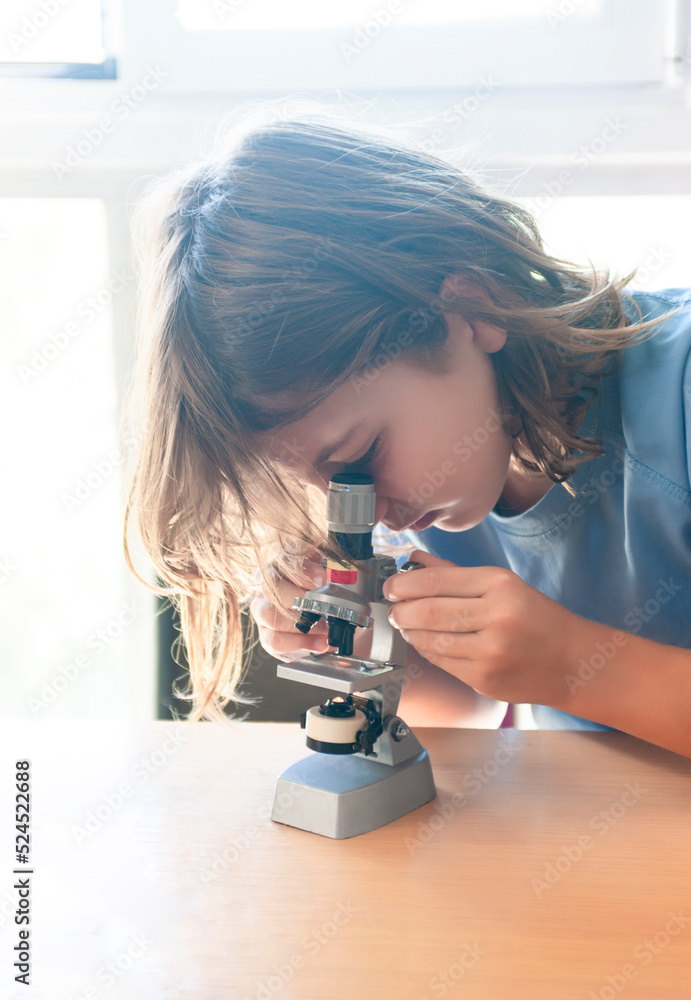 Girl looking at a specimen through a school microscope on a study table ...
