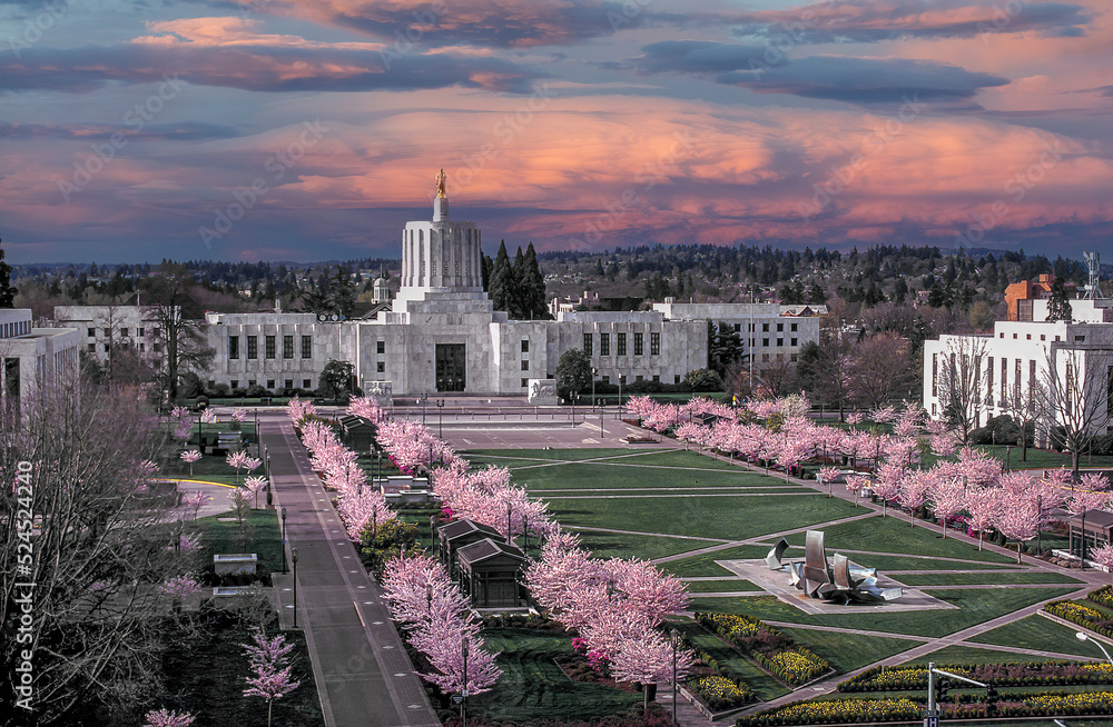 An aerial view of the Oregon State Capitol building with flowering ...