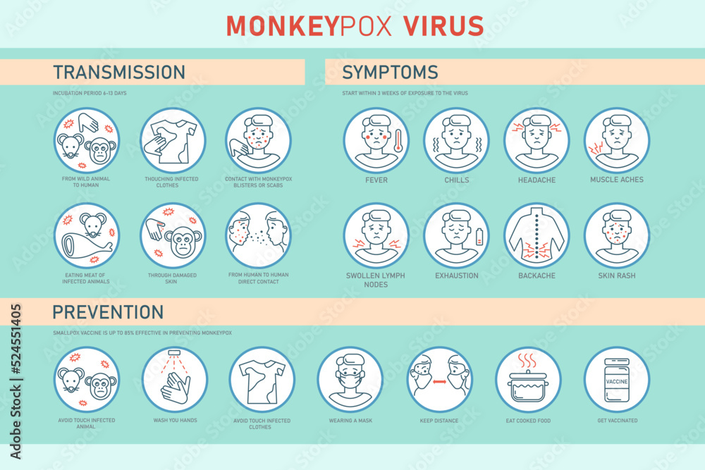 Monkeypox virus transmission, symptoms and prevention infographics with icons. Vector flat ...