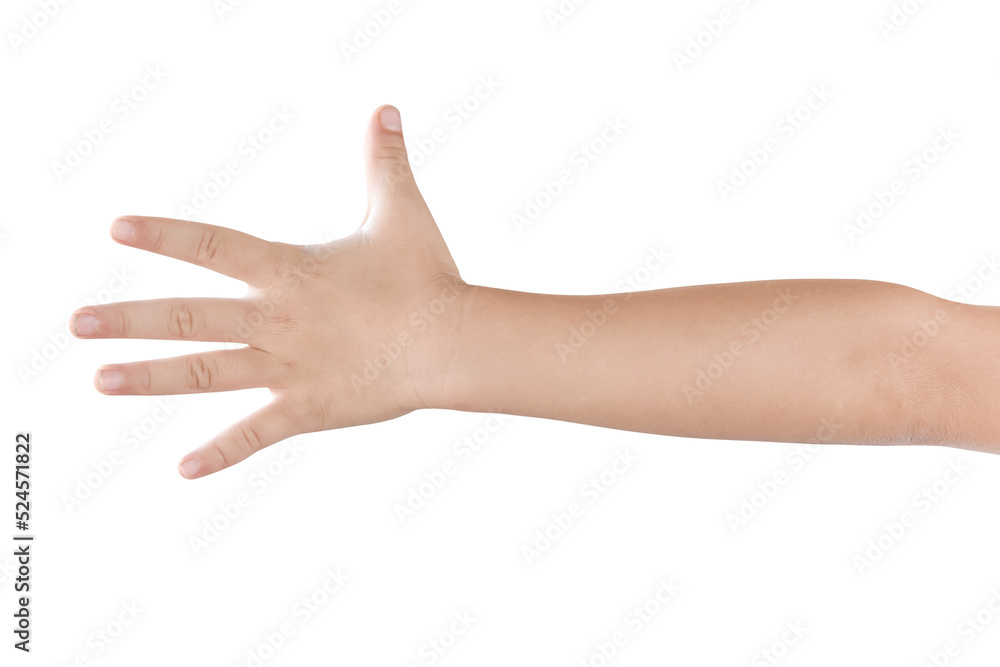 Children Hands Png