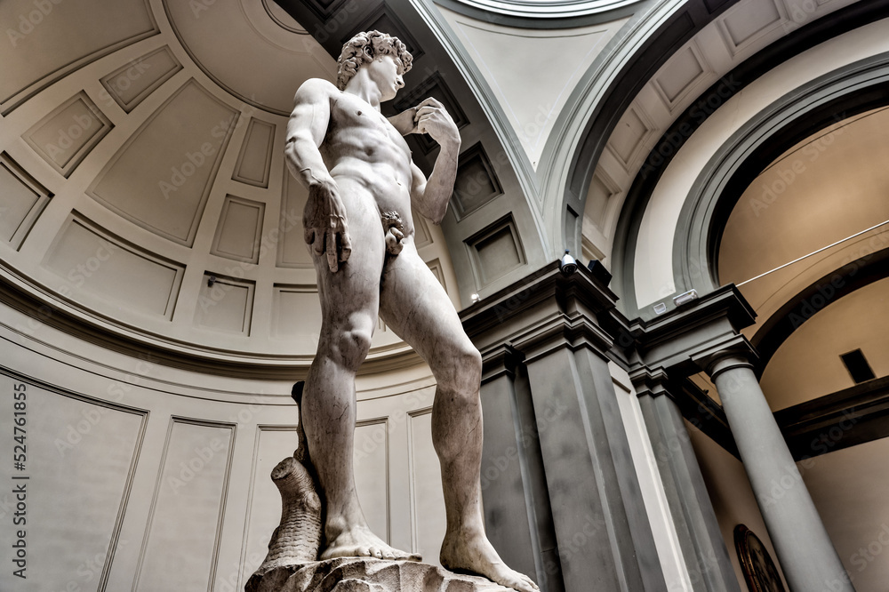 The statue of David by Michelangelo in the Accademia Gallery in ...