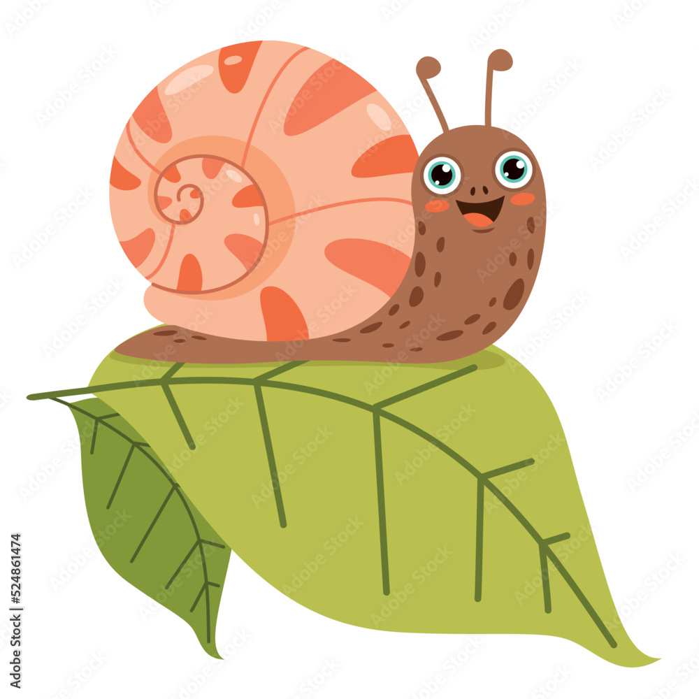 Cartoon Illustration Of A Snail Stock Vector | Adobe Stock
