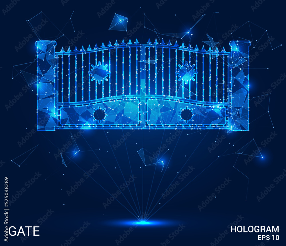A hologram of the gate. Gates of polygons, triangles of points and ...