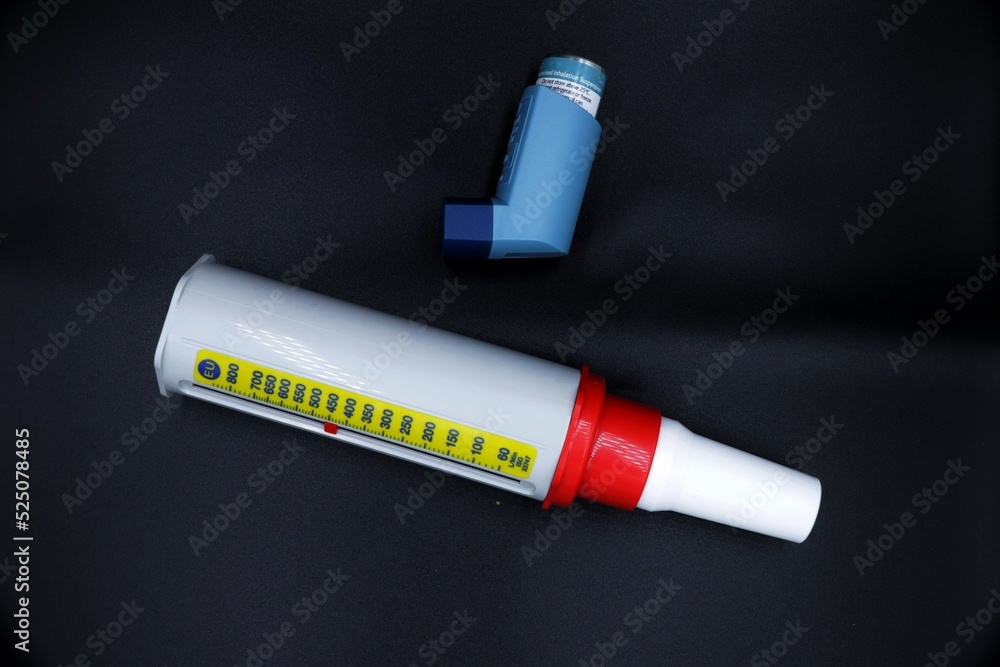 A peak flow meter with an inhaler medicine. A peak flow test is used in ...