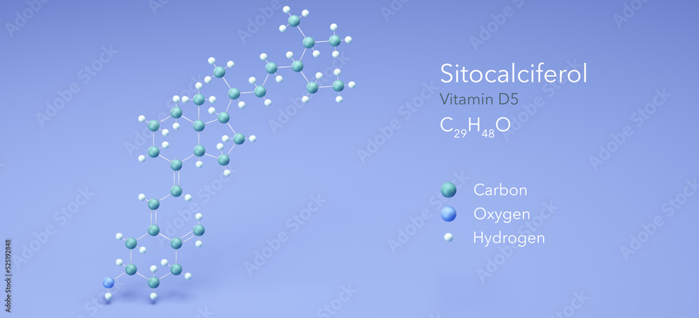 sitocalciferol, vitamin d5, molecular structures, 3d model, Structural ...