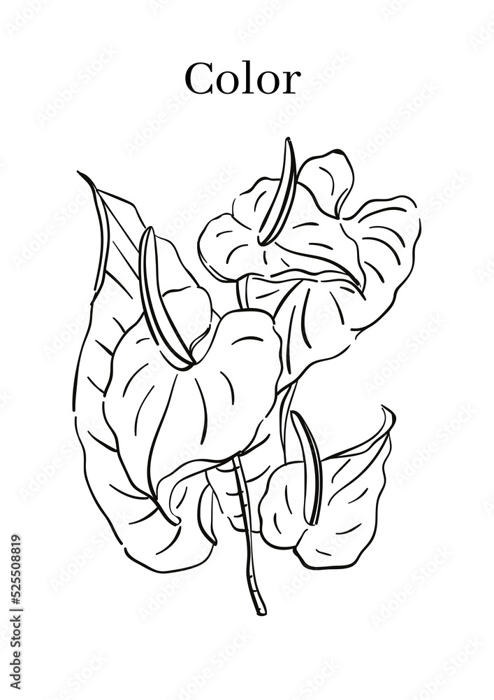 High Resolution Printable Colouring Worksheets for Kindergarten and ...